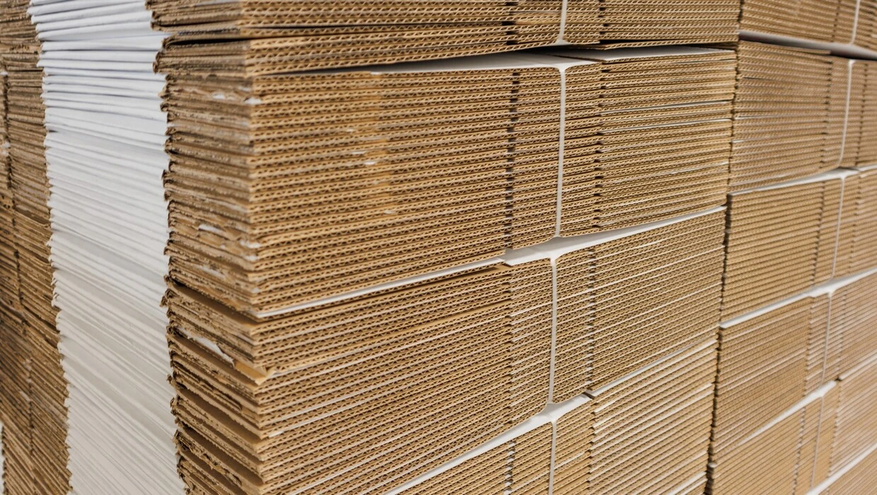 Packaging Trends: Il futuro degli imballaggi in cartone